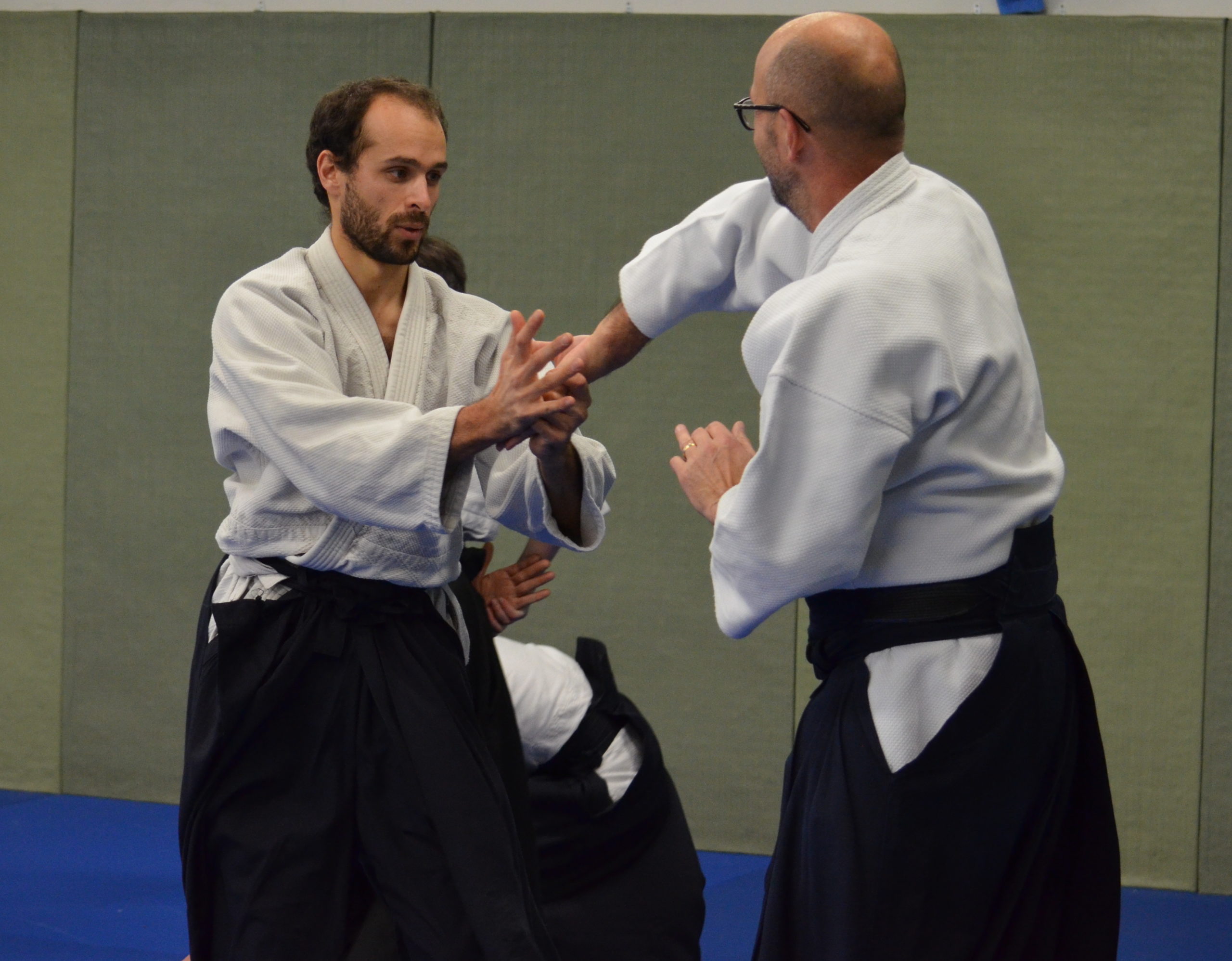 Damien Delorme - Sakura Aïkikaï